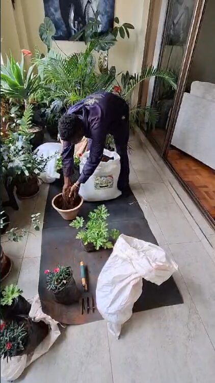 Sprout organic services - Sprout Organic