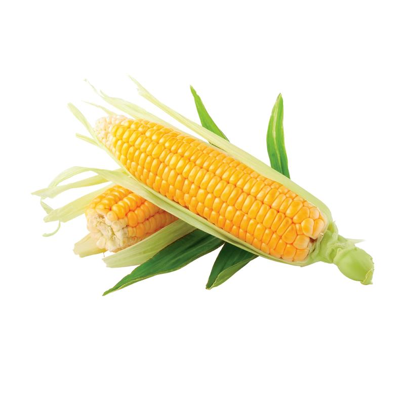 Sweet corn - Sprout Organic